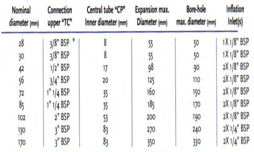DOUBLE PACKER - PACKER BƠM PHỤT VỮA